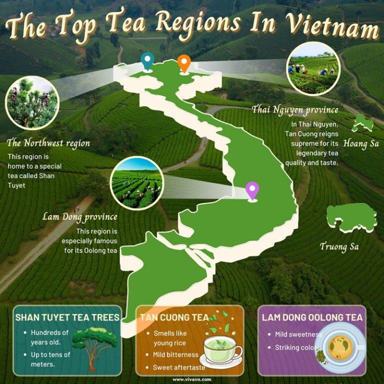 Vietnam Tea Industry: Production Situation, Main Players, and Export ...