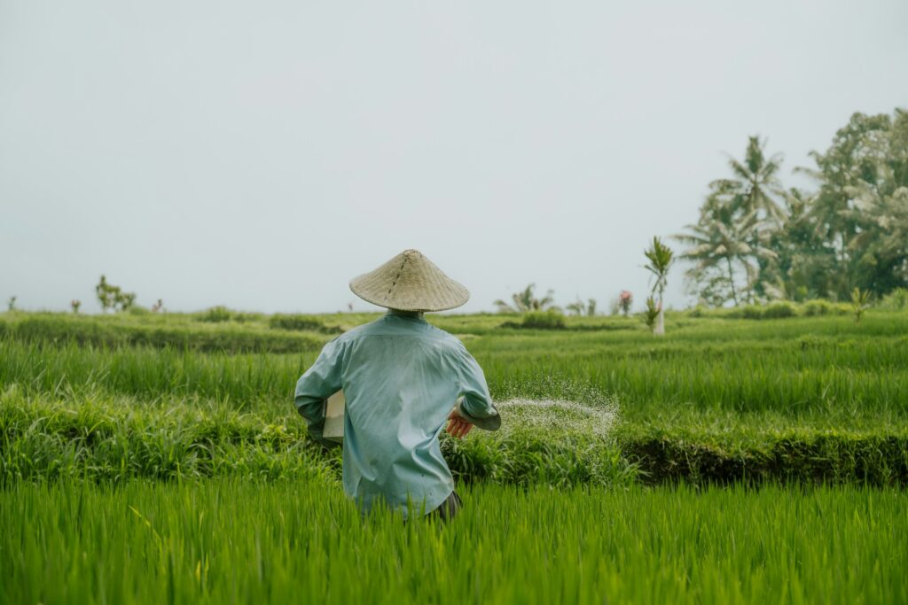 Farmer – Factory – Distribution linkage model in Vietnam: Current ...